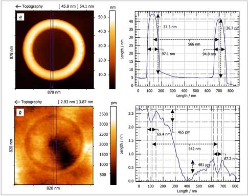 Using Atomic Force Microscopy With a Scanning Electron Microscope ...