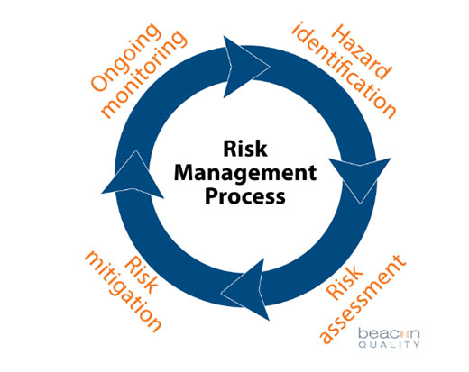 Risk Management for Automotive Suppliers | Quality Digest