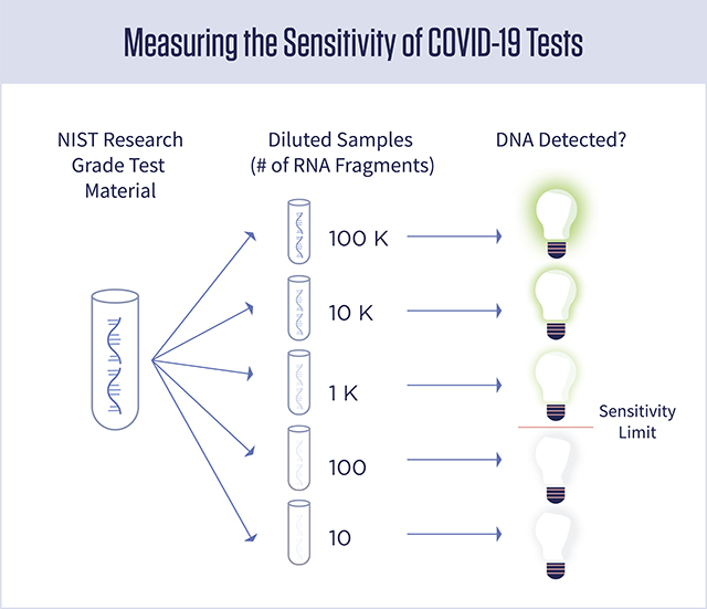 Measuring the Sensitivity of Covid Tests With New Material From NIST ...