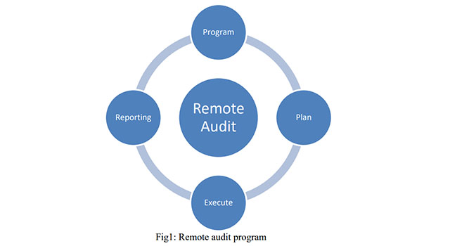 Auditing Your QMS During Pandemic Times | Quality Digest