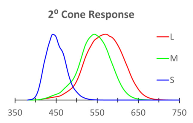 Display Metrology: The Science of Quality Measurement | Quality Digest