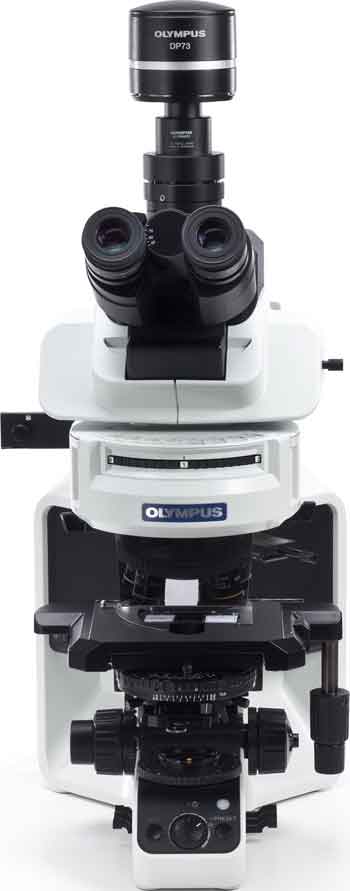 Olympus DP73 14-Bit Microscope Camera Offers Exceptional Imaging ...