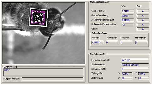 Flying 2-D Codes: Using Data Matrix IDs on Honey Bees | Quality Digest