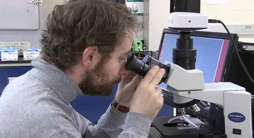 Ergonomic Microscopes From Olympus Improve Productivity | Quality Digest