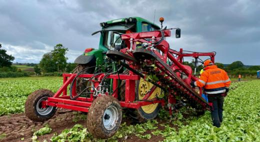 Robots That Help Harvest Lettuce | Quality Digest