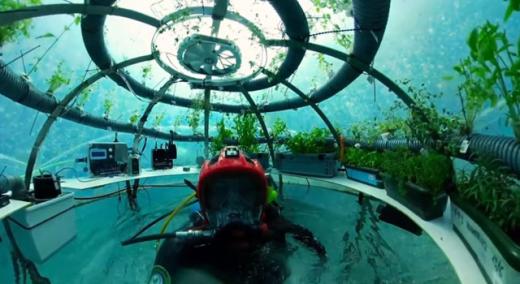 Digitization Helps Nemo’s Garden Create Alternative Agricultural ...