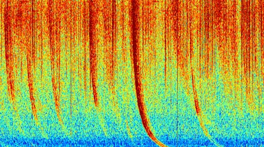 Signal vs. Noise | Quality Digest