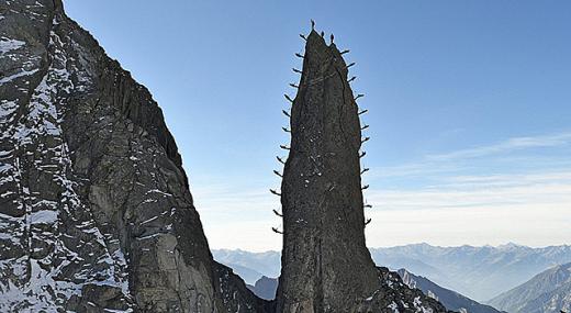 Lessons From Mt. Stupid | Quality Digest